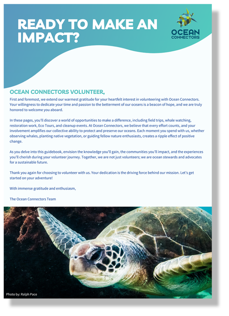 Volunteer – Ocean Connectors