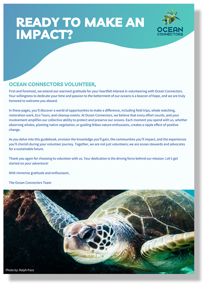 Volunteer – Ocean Connectors