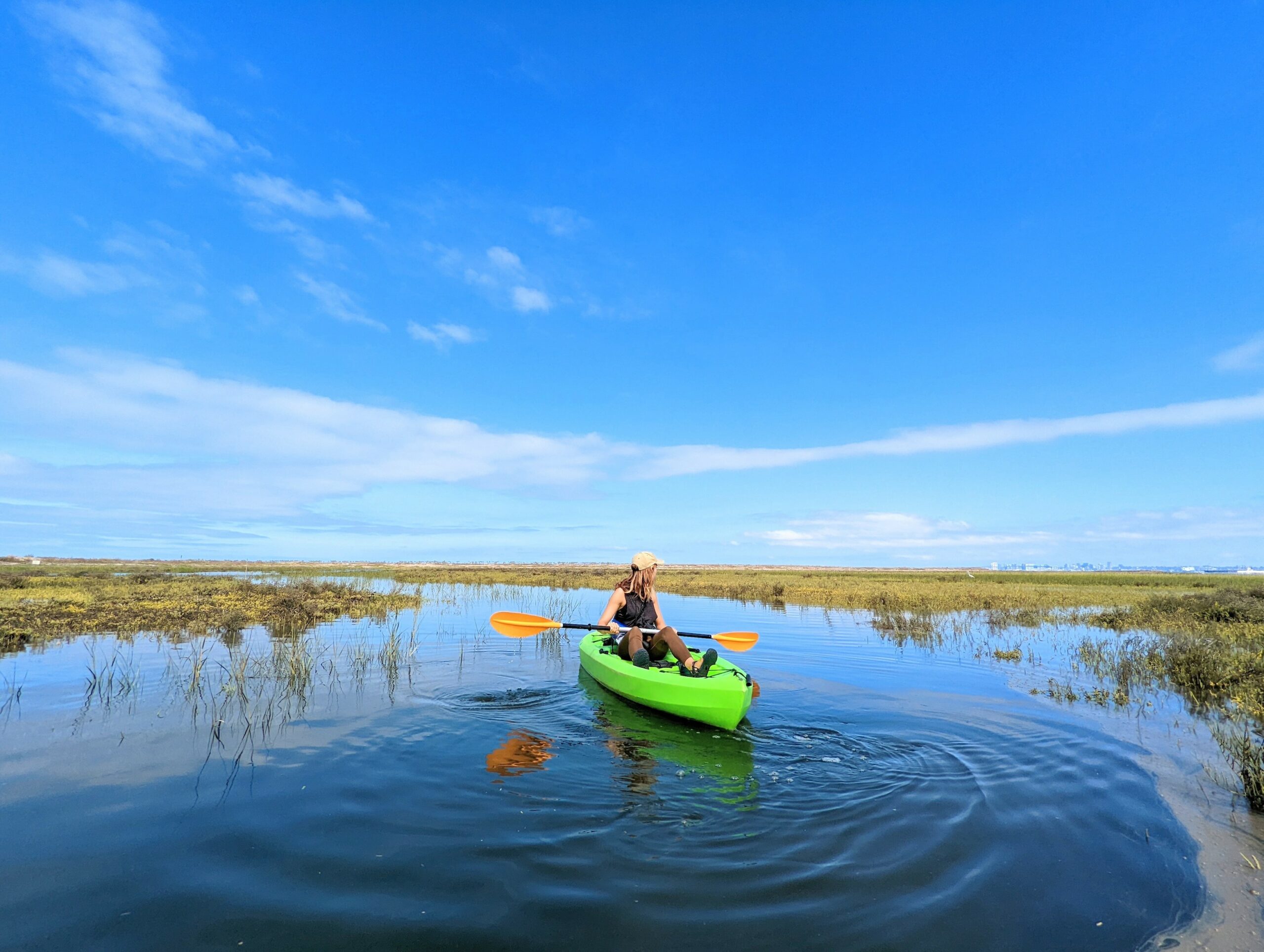Wildlife Kayaking Eco Tour – Ocean Connectors