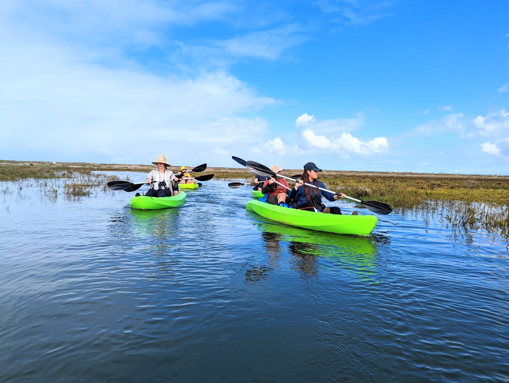 Wildlife Kayaking – Ocean Connectors