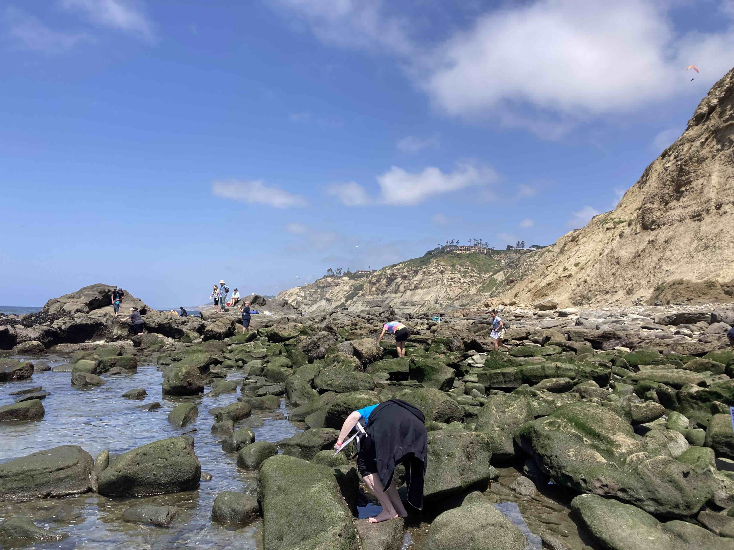 Tide Pool Exploration – Ocean Connectors